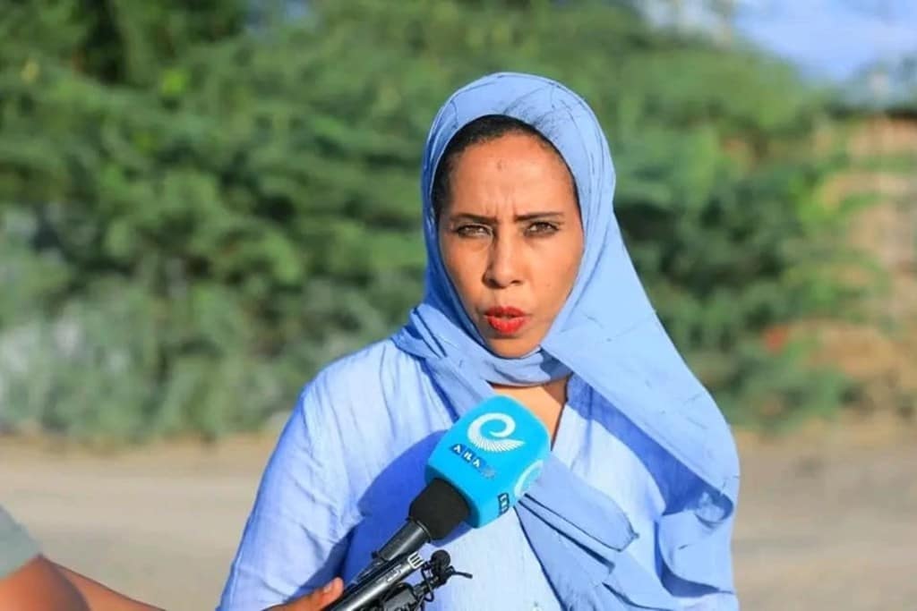 News: Inquiry Board to investigate alleged civilian deaths in Merawi ...